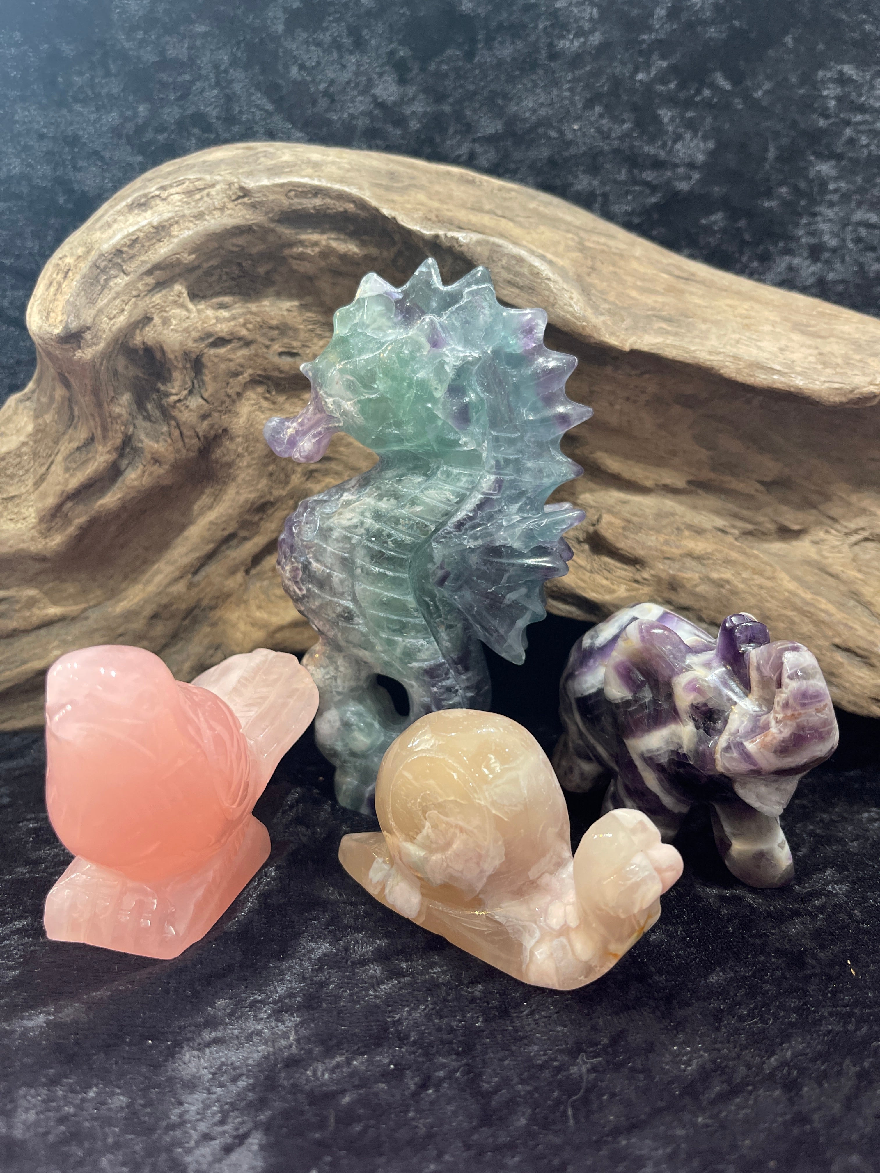 Critters – A Moment of Zen